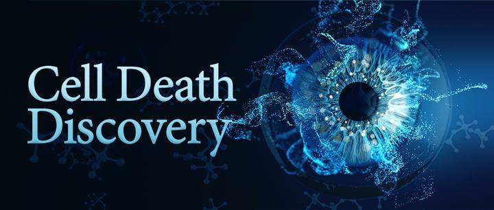 Cell Death Discov | 上海交通大学附属第六人民医院吴强组揭示Sirt5介导去琥珀酰化对于视网膜病变的保护机制 - 知乎