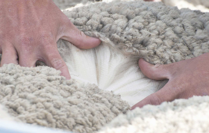 RWS认证咨询，RWS实施指南对负责任的羊毛标准实施正确的指导，应考虑手册中提供的所有指导 - 知乎