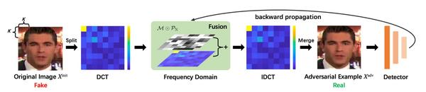【CVPR 2022 对抗攻击】Exploring Frequency Adversarial Attacks for Face Forgery Detection - 知乎