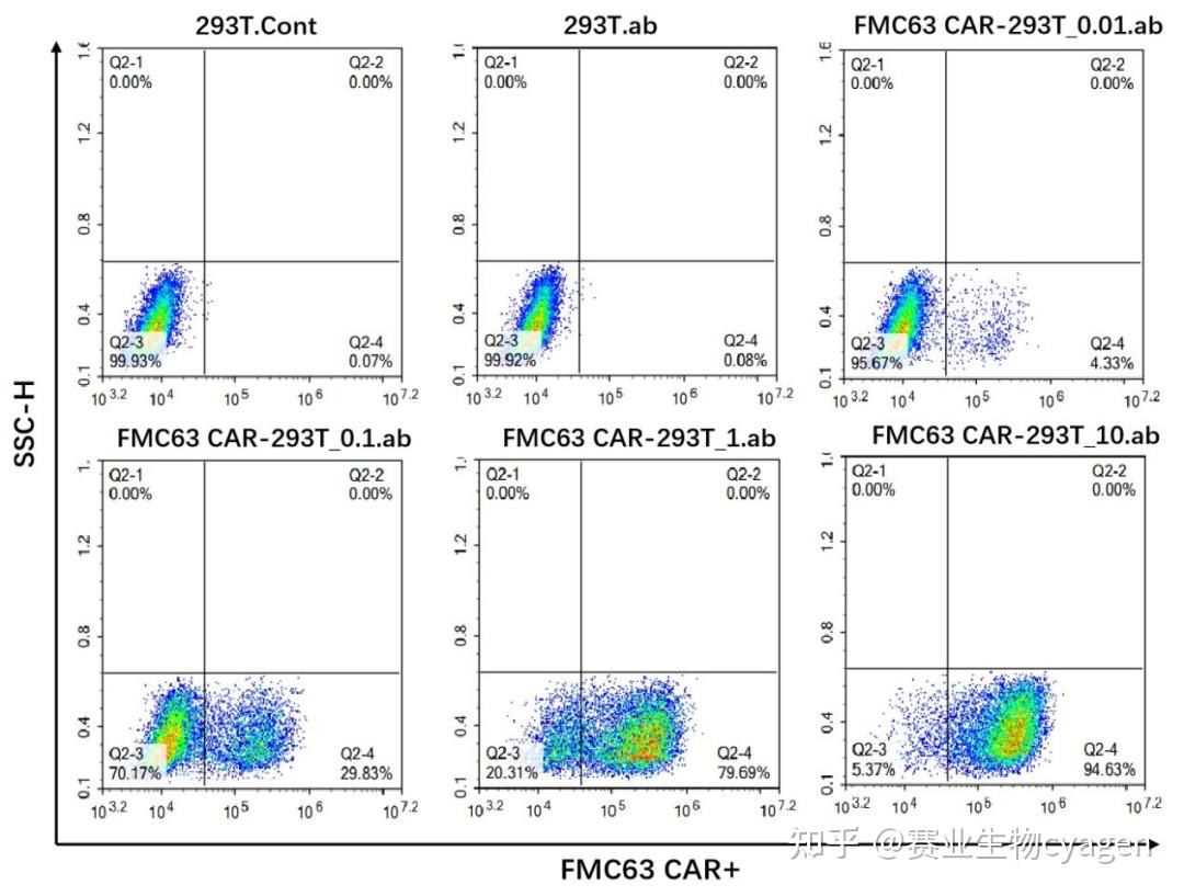 这个「CAR-T研究平台」治好了我的精神内耗 - 知乎
