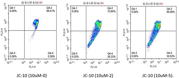 JC-10；线粒体膜电位荧光探针 - 知乎