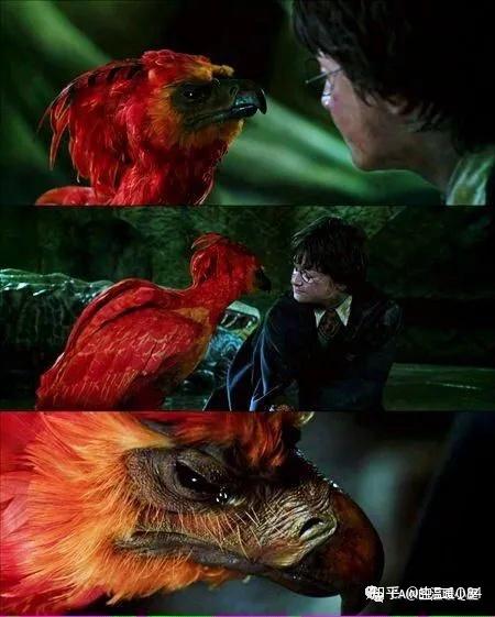 5分钟教你看懂《哈利·波特》背后的隐喻和象征 - 知乎