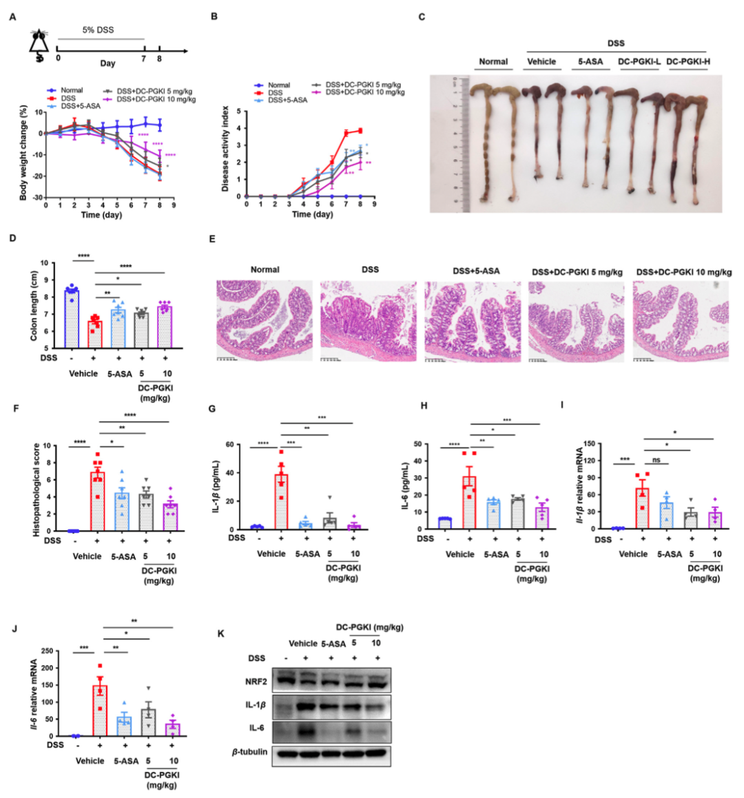 药理学顶刊丨一种有效的 PGK1 拮抗剂表明 PGK1 调节 IL-1 β和 IL-6 的产生 - 知乎