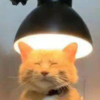 YoloV5源码注释解读(ultralytics版本)(detect.py) - 知乎