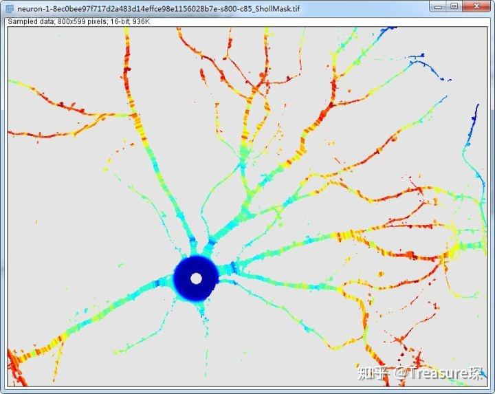 有哪些实用的ImageJ使用技巧？ - 知乎