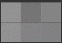 pytorch tensor print torch.set_printoptions - 知乎