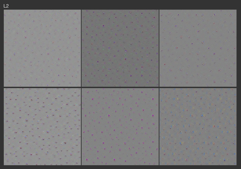 pytorch tensor print torch.set_printoptions - 知乎