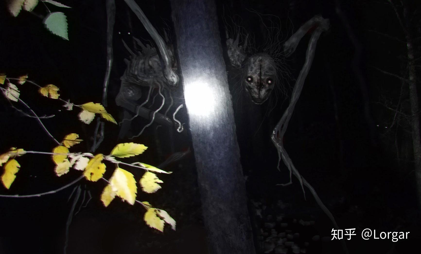 【SCP】2019年2月图像一览 - 知乎