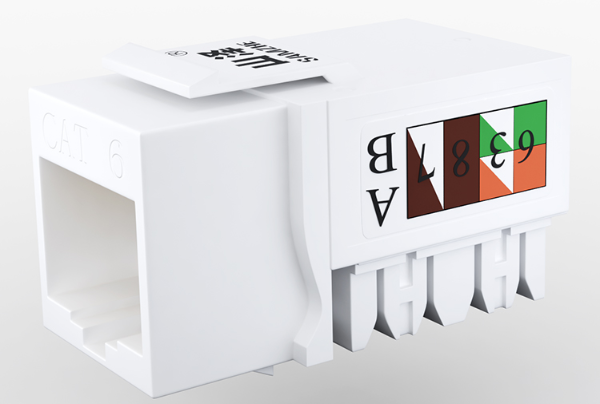 网络模块是什么？网络模块怎么接？ - 知乎