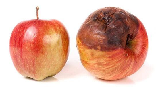 皮肤氧化的过程 - 知乎