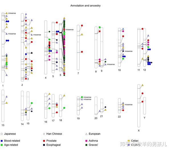 文献笔记二十一：PhenoGram可视化染色体上的信息 - 知乎