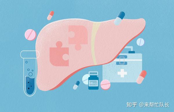 酒既伤肝又伤胃，经常喝酒者要怎么养肝护胃呢？ 知乎