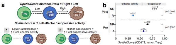 空间单细胞蛋白组发现预测免疫治疗疗效的新型组织空间标志物 - 知乎