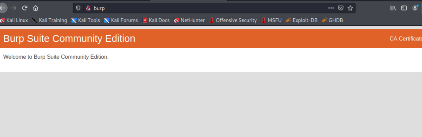 渗透测试培训——KALI-Burpsuite使用说明 - 知乎
