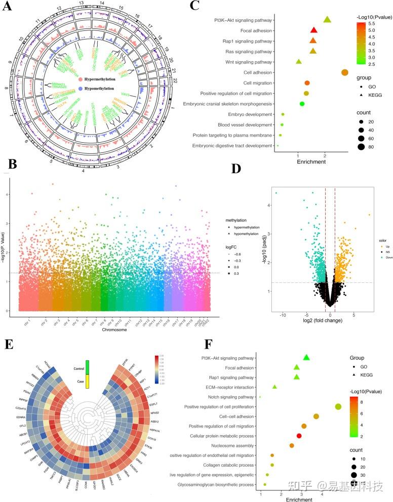 易基因｜DNA甲基化和单细胞RNA-seq联合揭示空气污染对复发性流产的表观遗传影响 - 深圳市易基因科技 - 博客园