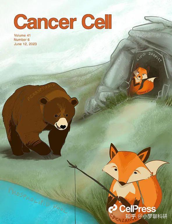 适合国人的期刊-Cancer Cell！期刊介绍 - 知乎