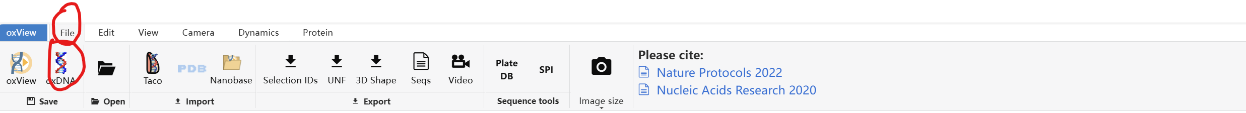 新手如何自学cadnano？用于DNA折纸设计? - 知乎