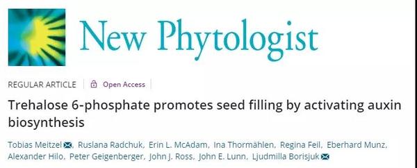 New Phytol. | 6-磷酸海藻糖通过激活生长素合成促进种子灌浆 - 知乎