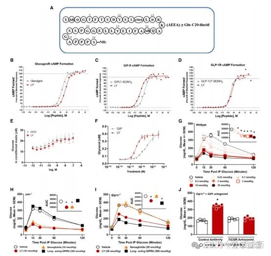 治疗高血压和肥胖的GCGR、GIPR及GLP-1R 三重激动剂 - 知乎
