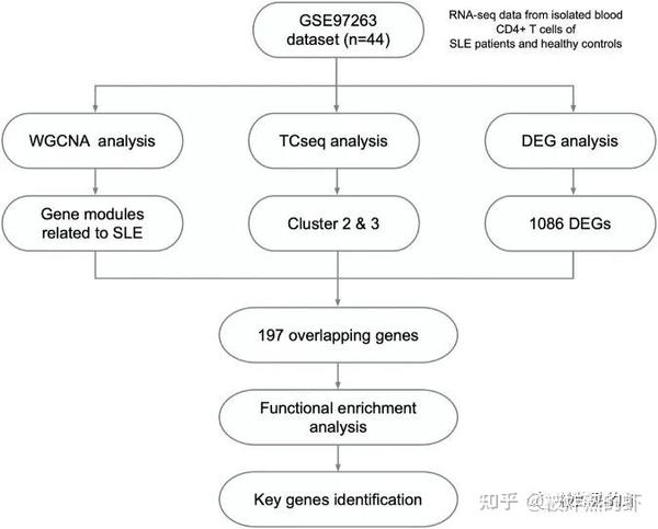 基因表达时序分析 TCseq - 知乎