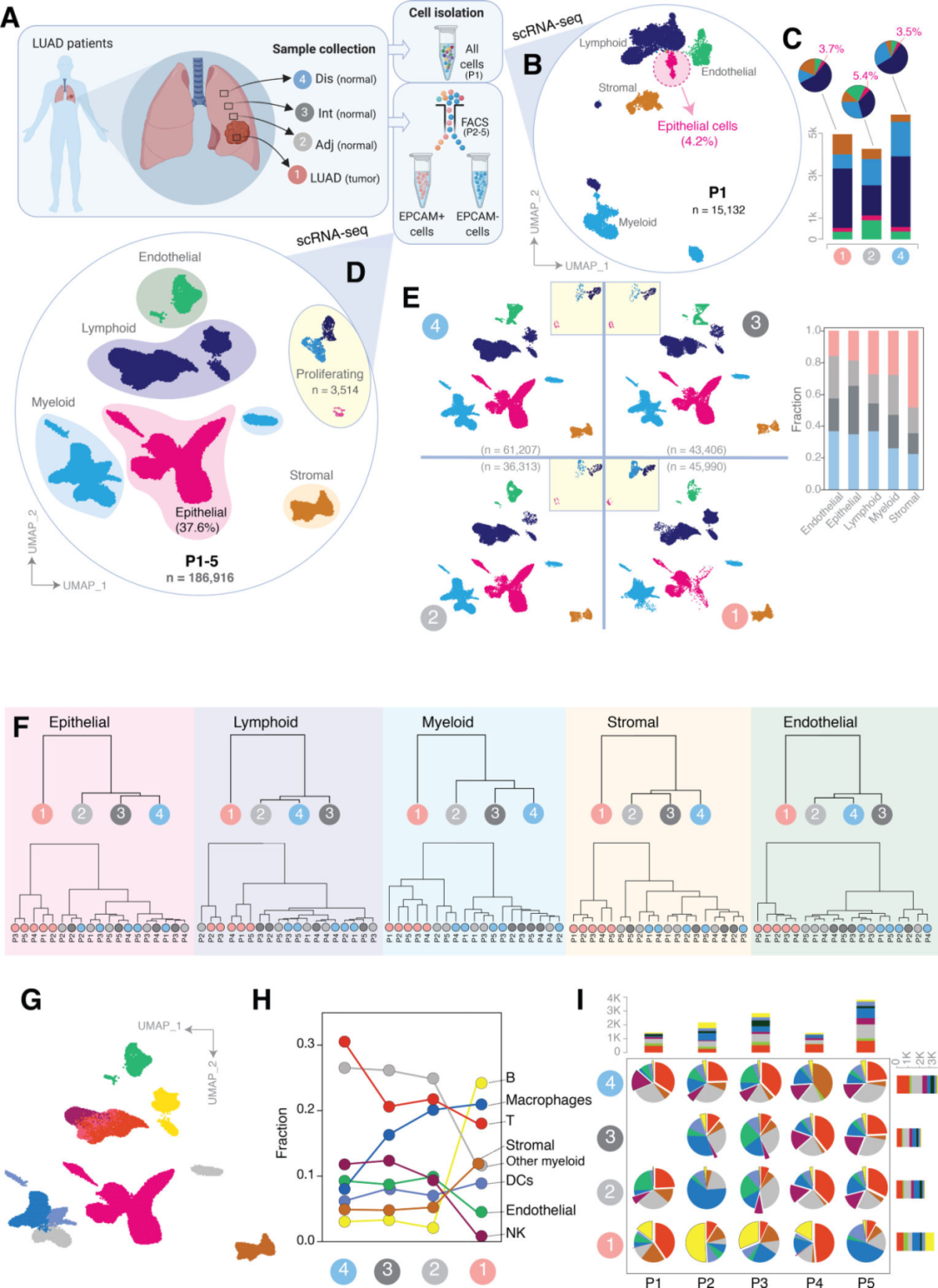 Cancer Discovery | 多区域单细胞测序解析肺腺癌的空间和细胞结构 - 知乎