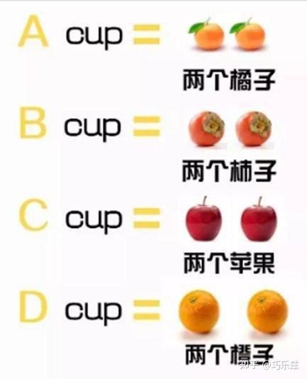 胸围36D到底有多大？ - 知乎