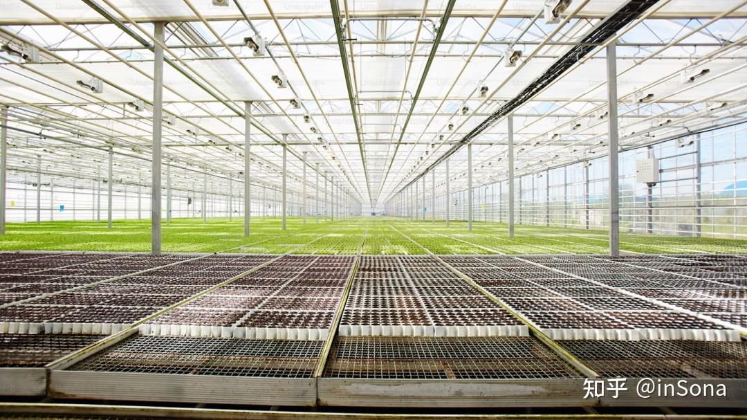 全国生态日丨inSona智慧健康照明给自然“留白” - 知乎