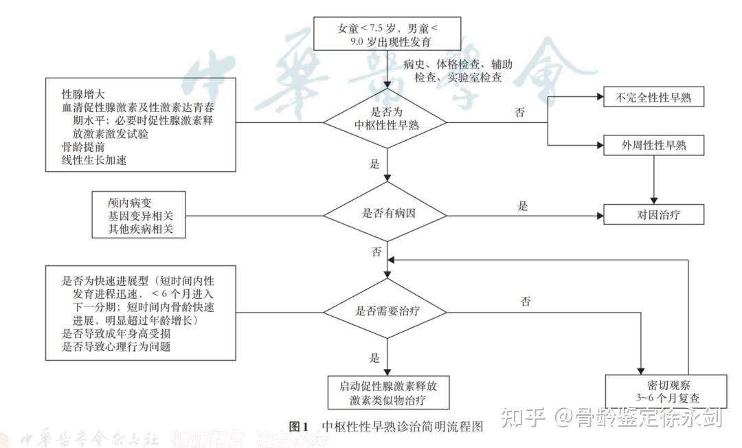 最新共识《中枢性性早熟诊断与治疗专家共识（2022）》CPP诊断、治疗 - 知乎