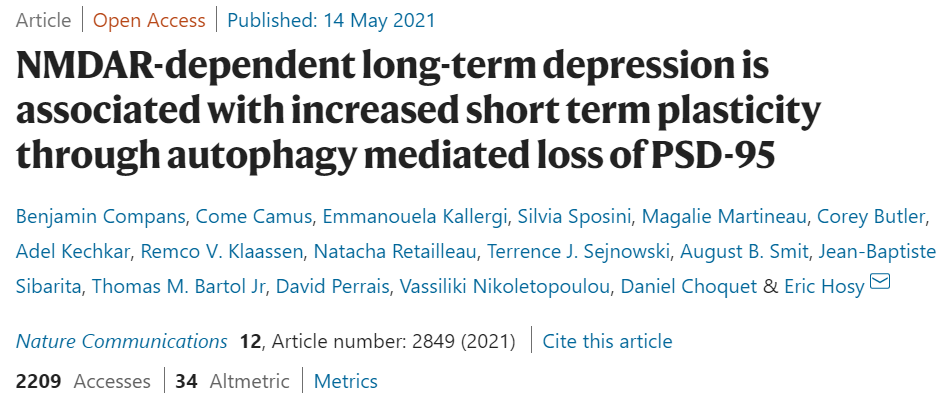 Nat Commun：突触可塑性调节的新机制 - 知乎