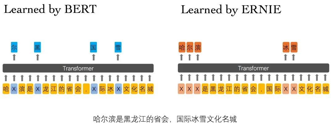 EasyNLP发布融合语言学和事实知识的中文预训练模型CKBERT - 知乎