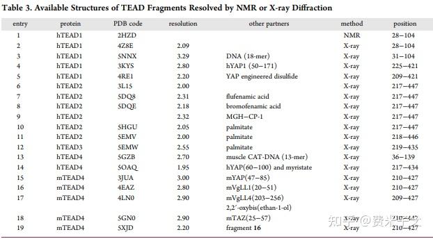 【JMC】TEAD靶点综述 - 知乎