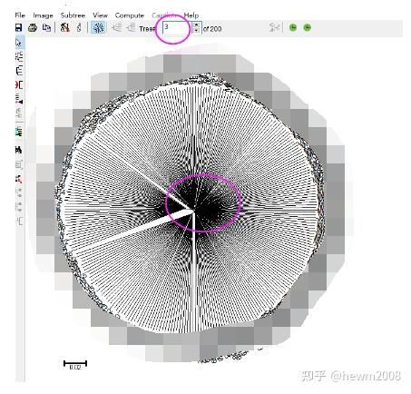 VCF2Dis 高效快速 群体nj-tree - 知乎
