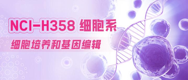 科研笔记（二）｜如何做好NCI-H358的细胞培养与基因编辑 - 知乎