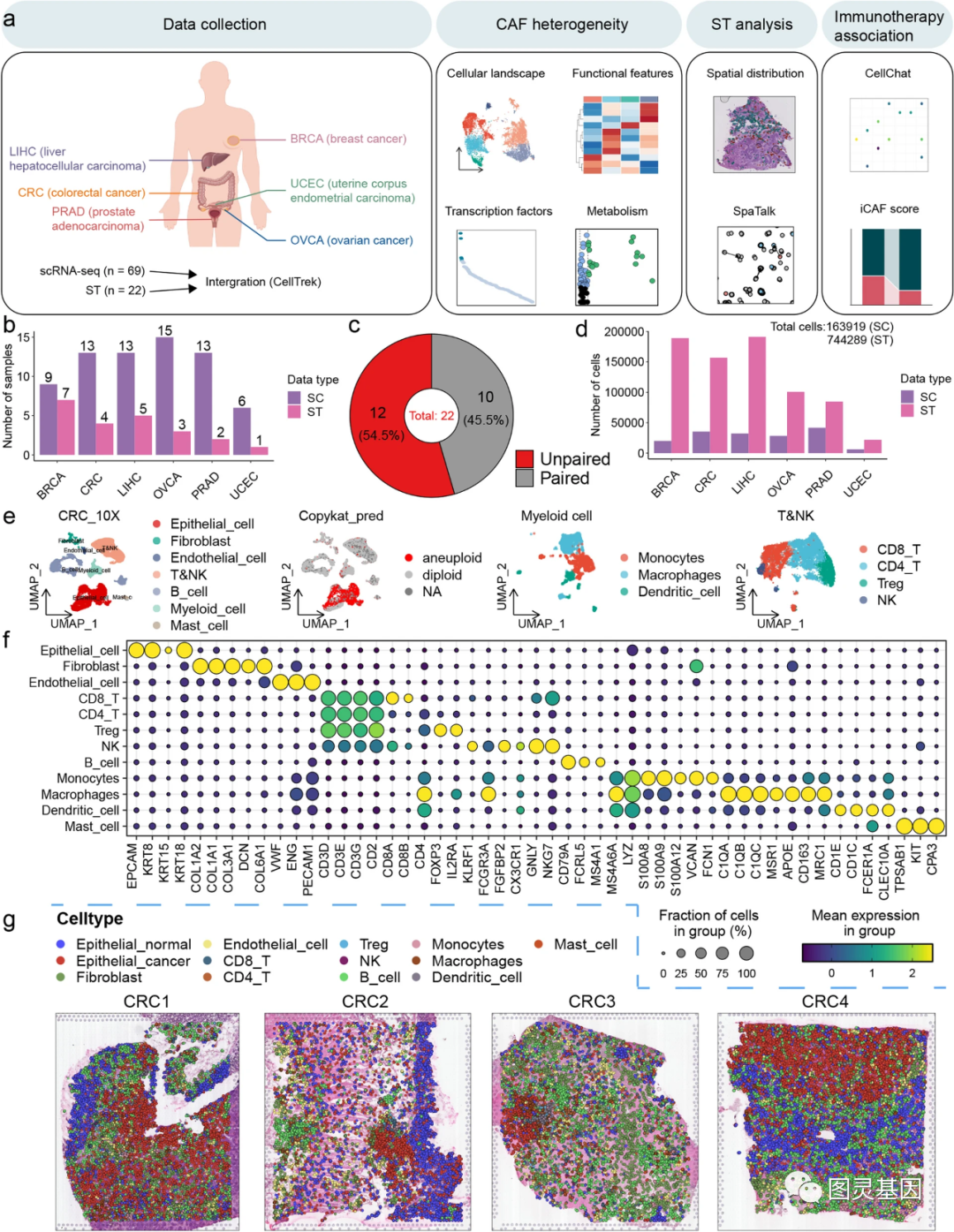 Mol Can｜山东大学冯强团队揭示癌症相关成纤维细胞和肿瘤微环境之间的串扰 - 知乎