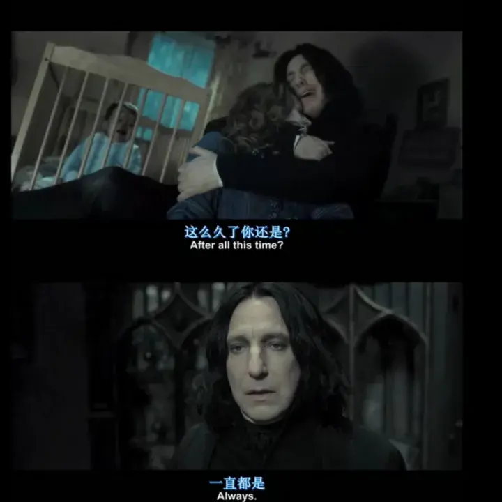 我，西弗勒斯·斯内普 - 知乎