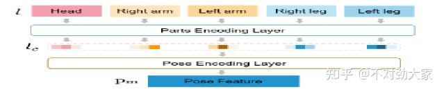 Pose-Appearance Relational Modeling for Video Action Recognition - 知乎