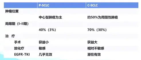 2021CSCO指南会丨复合型SCLC和转化性SCLC部分解读 - 知乎