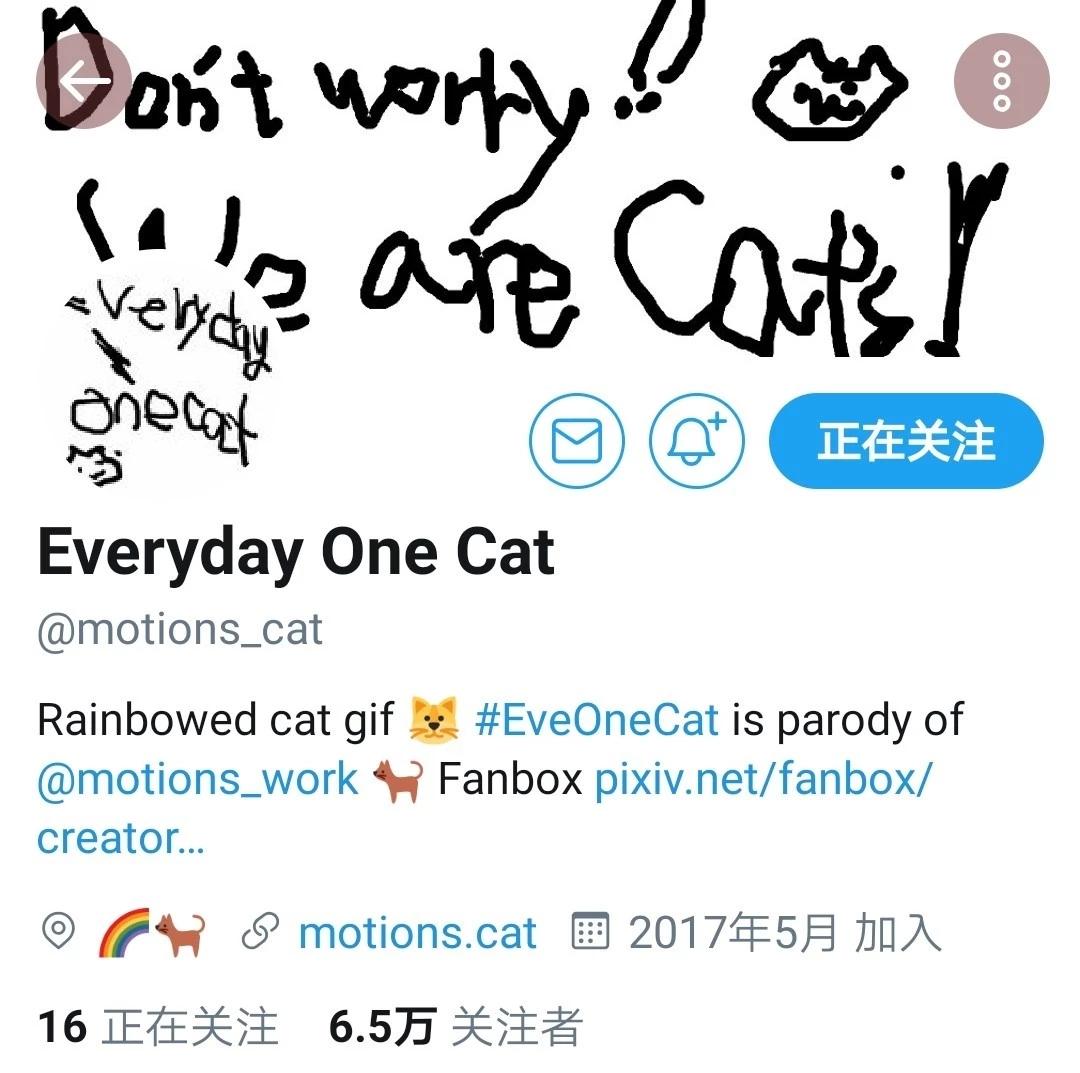 魔性猫猫everyday one cat 表情包 - 知乎
