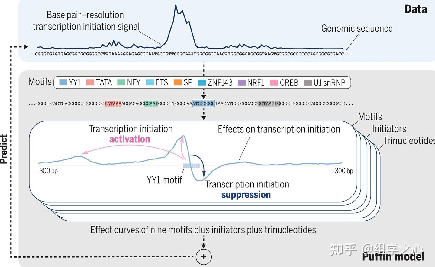 Nat Rev Genet | 如果DNA序列能“说话”？深度学习S2E（序列2表达）模型正在听懂基因组的调控秘密！ - 知乎