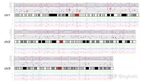 画最美染色体，就要用这个新工具 | 今天被CRAN接收 - 知乎