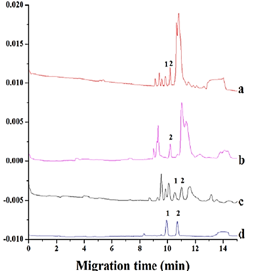 想get更多免疫检测技术？毛细管电泳了解一下 - 知乎