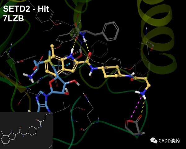 Escape Flatland | 近期两个临床分子示例 - 知乎