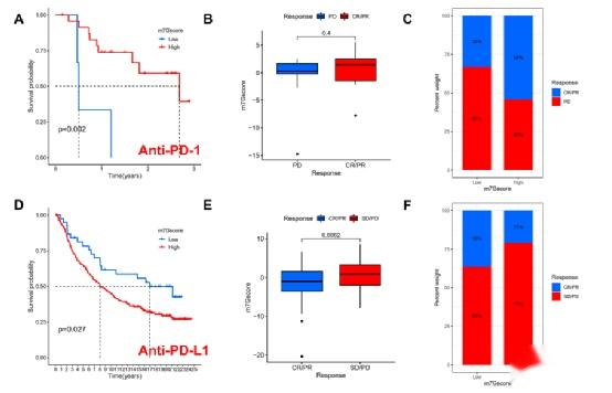 RNA甲基化做实验太难？来做生信呀！m7G风险评分+二次聚类分型+分子对接的分析思路，值得借鉴！ - 知乎