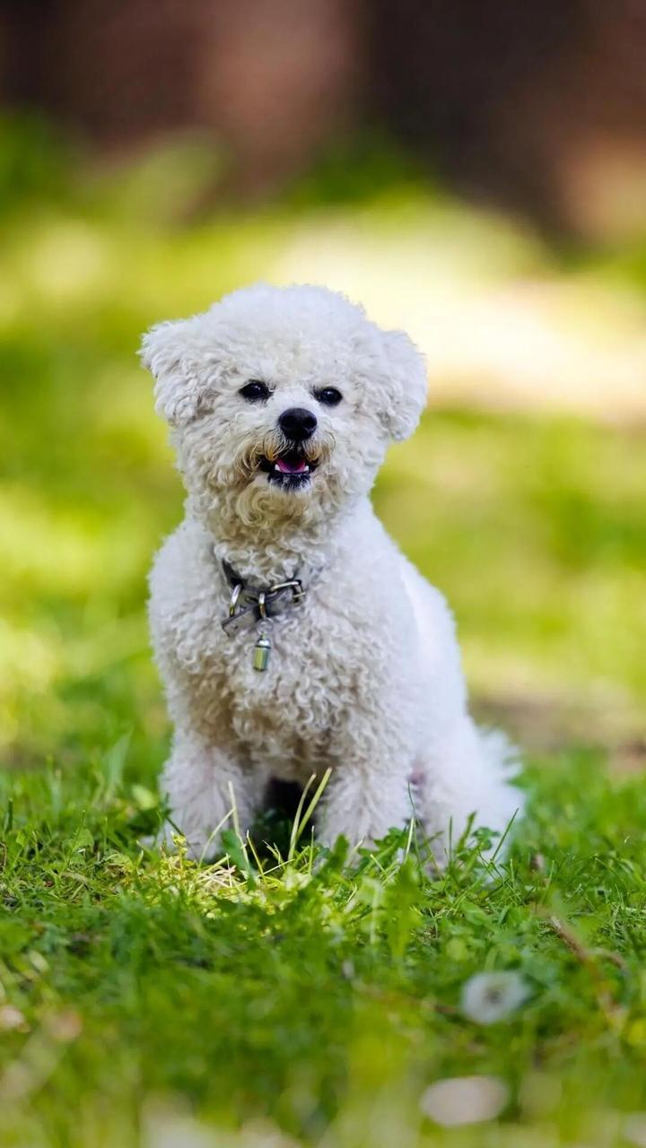 史上最全亚马逊账号安全介绍以及规避技巧 - 知乎