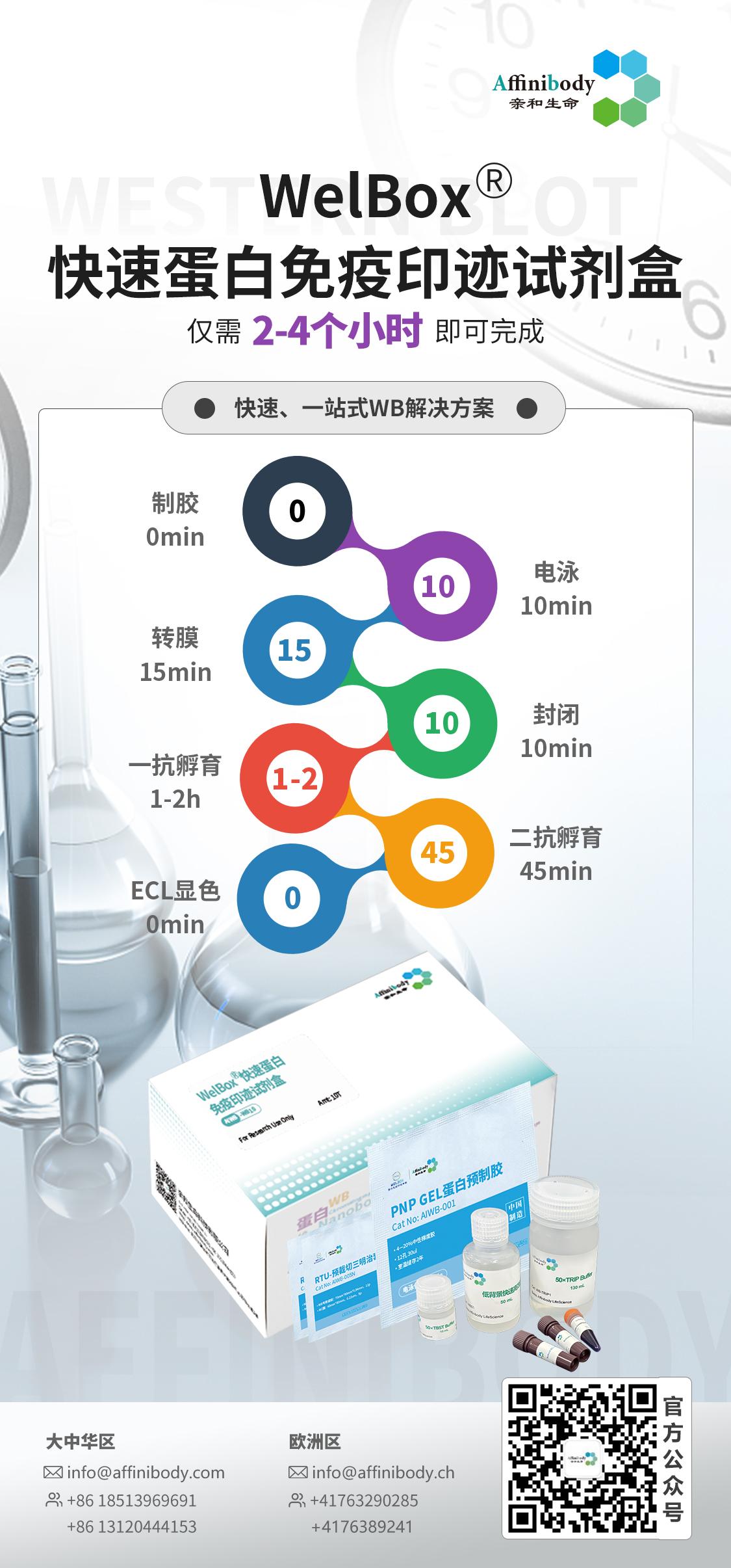 WelBox快速蛋白免疫印迹试剂盒：突破时间限制，轻松揭示蛋白奥秘！ - 知乎