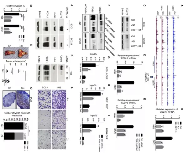 CD276 (B7-H3)：HNSCC免疫治疗的独特靶点 - 知乎