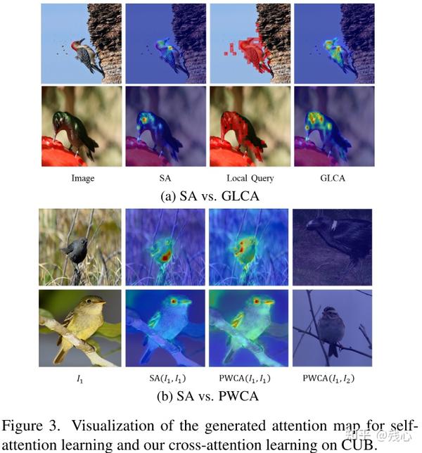 Dual Cross-Attention Learning for Fine-Grained Visual Categorization and Object Re ...