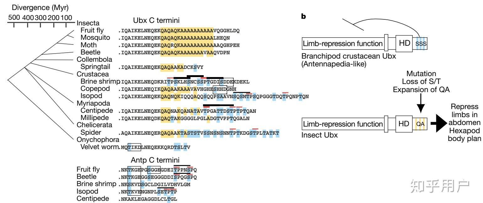 在DNA水平上，进化论者如何描述进化的「微小变化」是大跳跃的一部分？ - 知乎