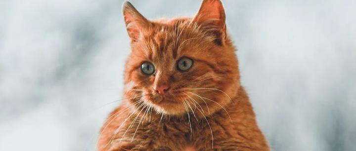 GWAS进阶分析为何要推荐Linux系统 - 知乎