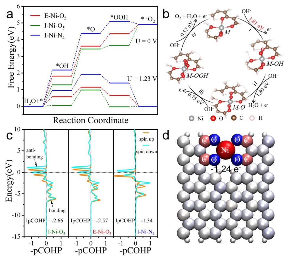 楼雄文教授，第98篇Angew！ - 知乎